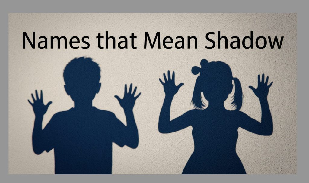 220+ Names that Mean Shadow with Origin and Pronunciation - illustrated ...
