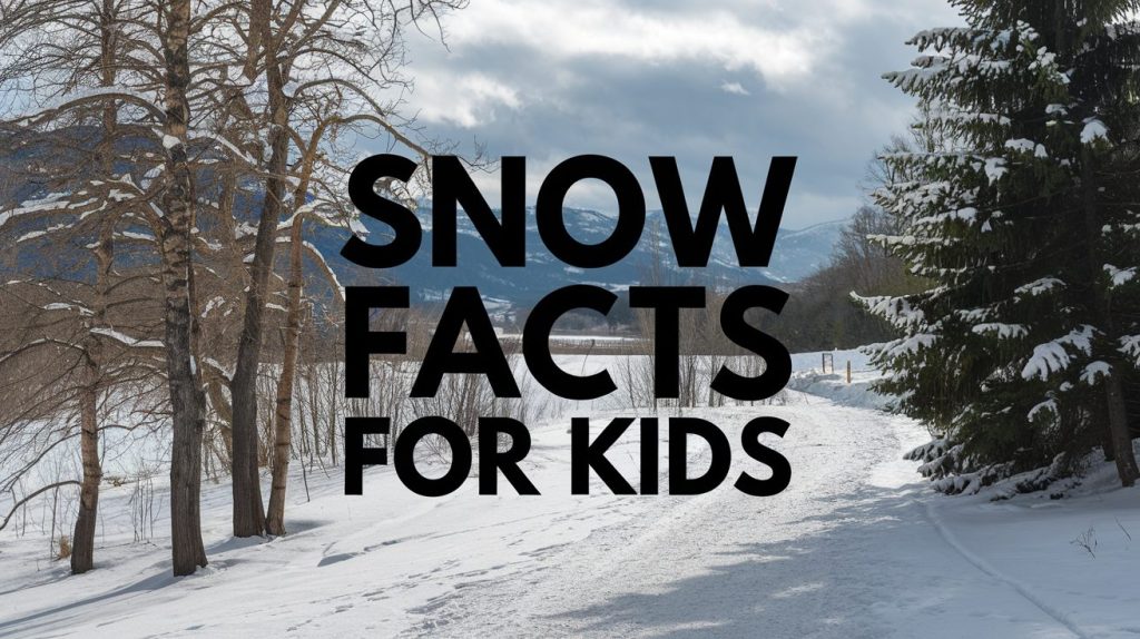 120 Fun and Frosty Snow Facts for Kids - illustrated Tea Cup