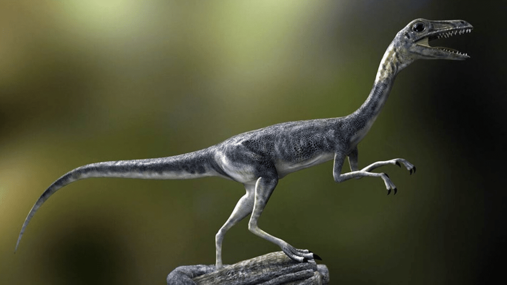 Top 10 Smallest Dinosaurs You Didn't Know About - illustrated Tea Cup